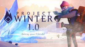 Project Winter | PC - Steam | Game Keys