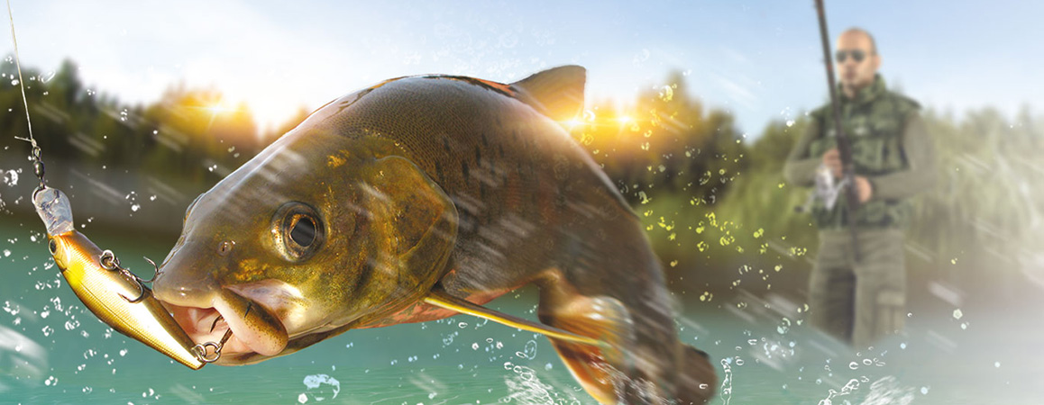 3D Arcade Fishing - PC | PC Game key